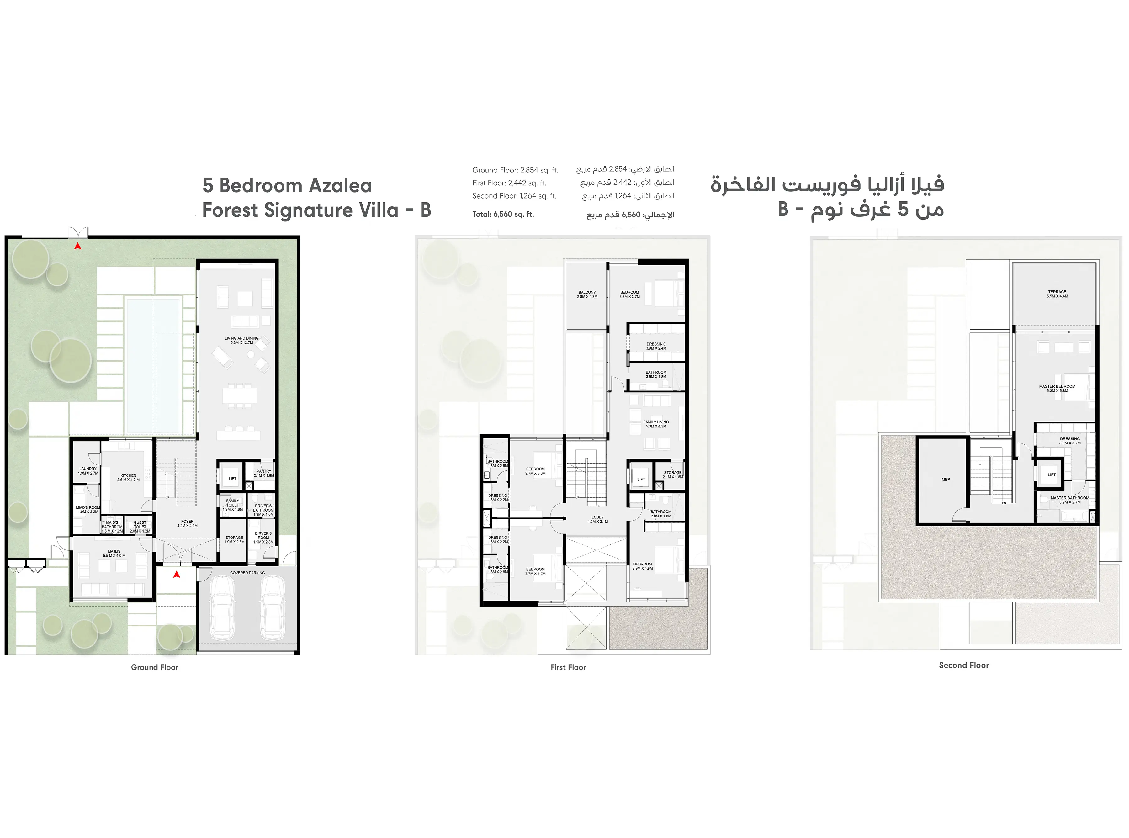 Azalea at Маsааr: Villas for Sale in Dubai – Everhomes